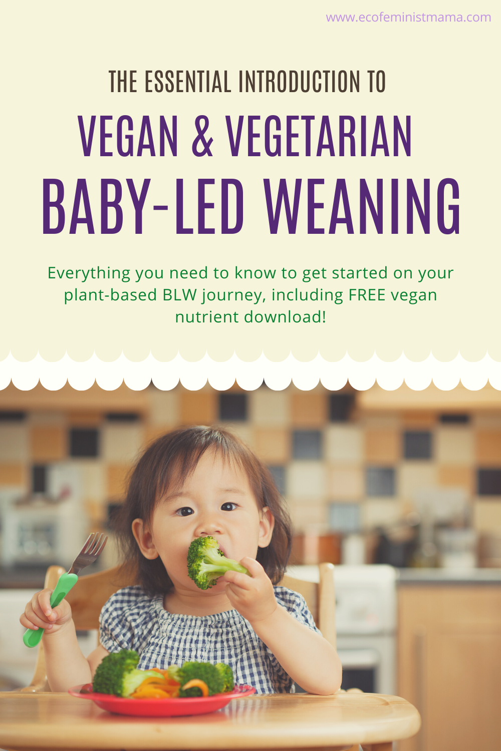 Baby Led Weaning For Vegans & Vegetarians | Ecofeminist Mama